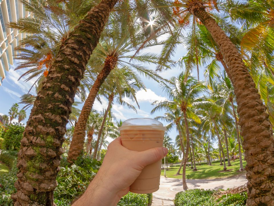Where to Get Your Fix: Miami’s Best Coffee Spots - Miami Take