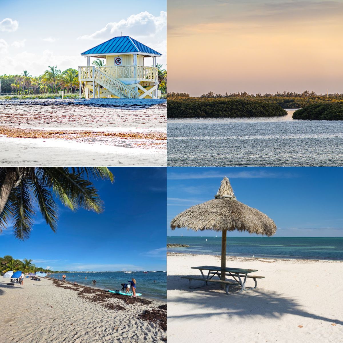 Hidden Beaches in Miami - Miami Take