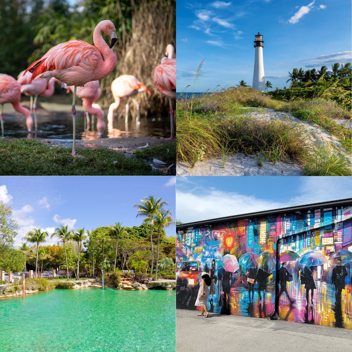 Things To Do in Miami With Kids - Miami Take